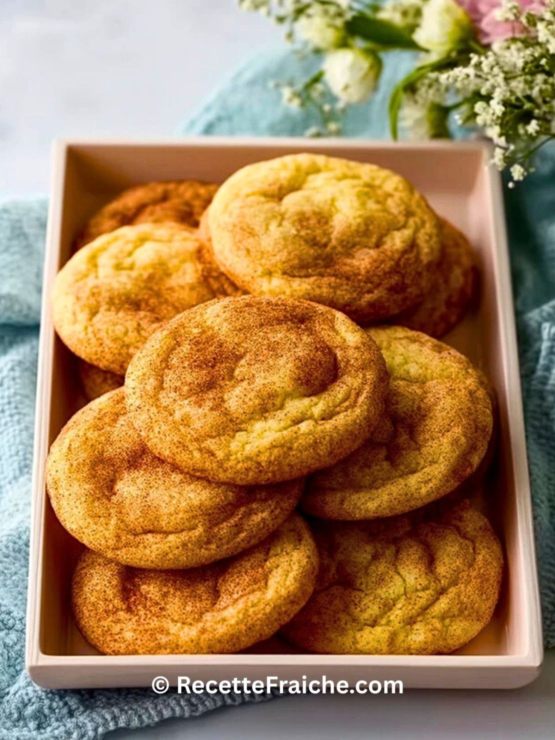 Biscuits Snickerdoodle Faciles – Recette Fraiche